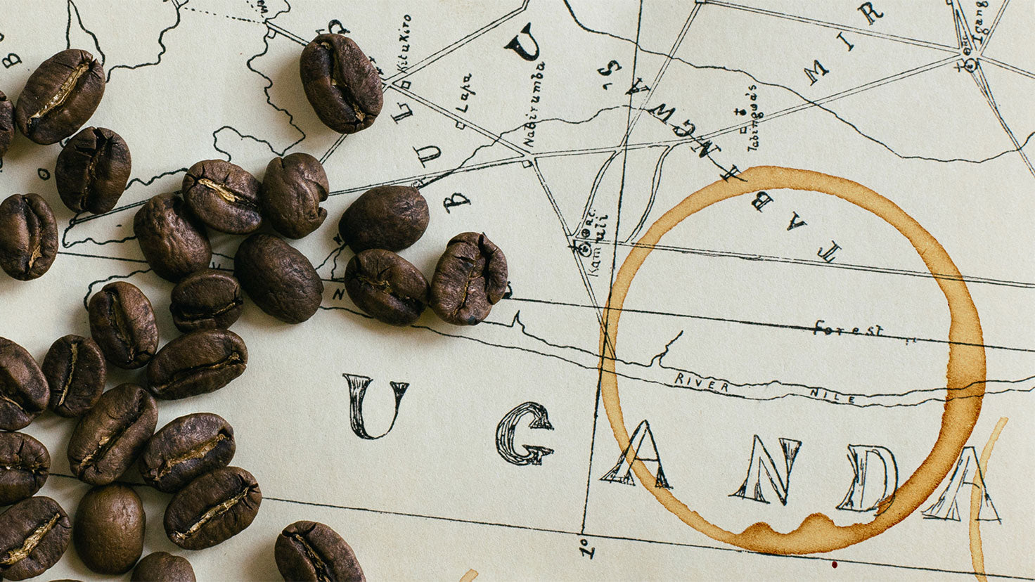 Carico Specialty Coffee: hand-picked & expertly roasted – Carico Coffee